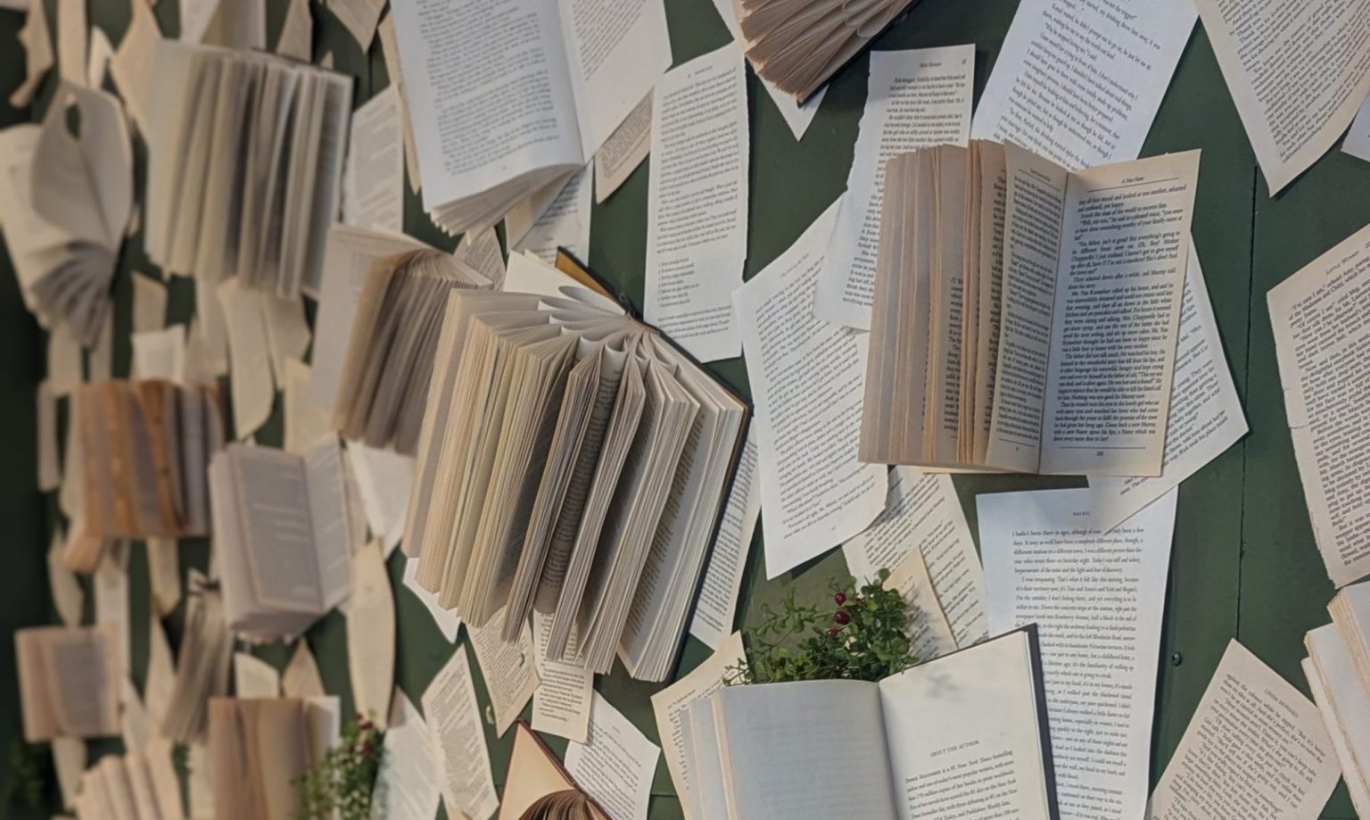 Impression Books – Feed Your Imagination…Read